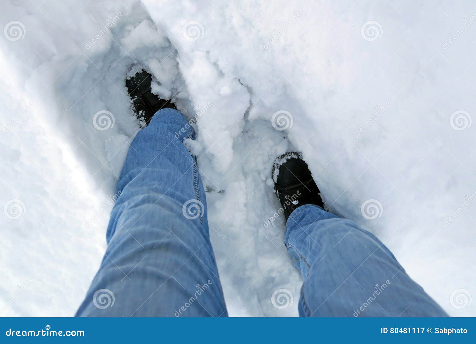 Legs in the Snow stock image. Image of deep, snow, disaster - 80481117