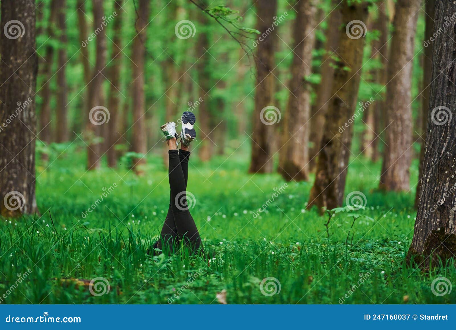 Legs of Woman that Have a Rest and Lying Down on Ground in Forest Stock ...