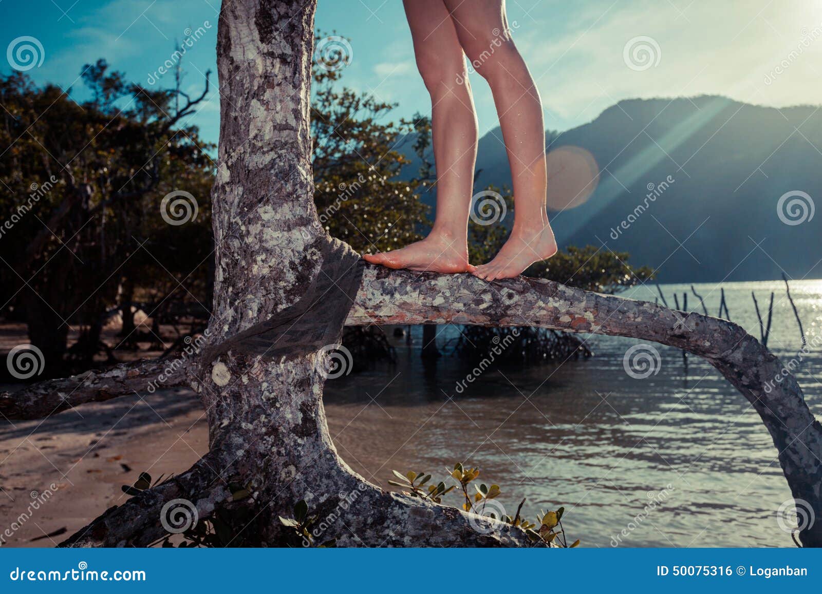 Legs of Young Woman in Tree Stock Photo - Image of sunshine, young ...