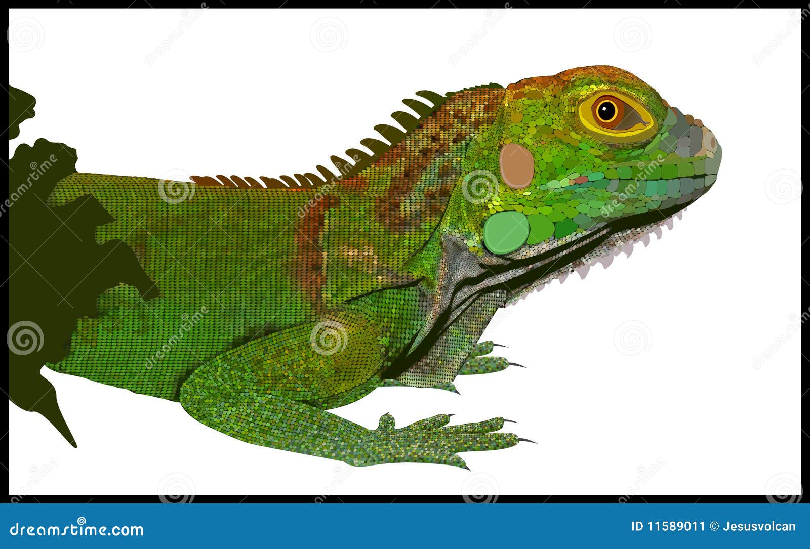 Leguaan Stock Illustrations, Vectors, & Clipart – (1,402 Stock ...