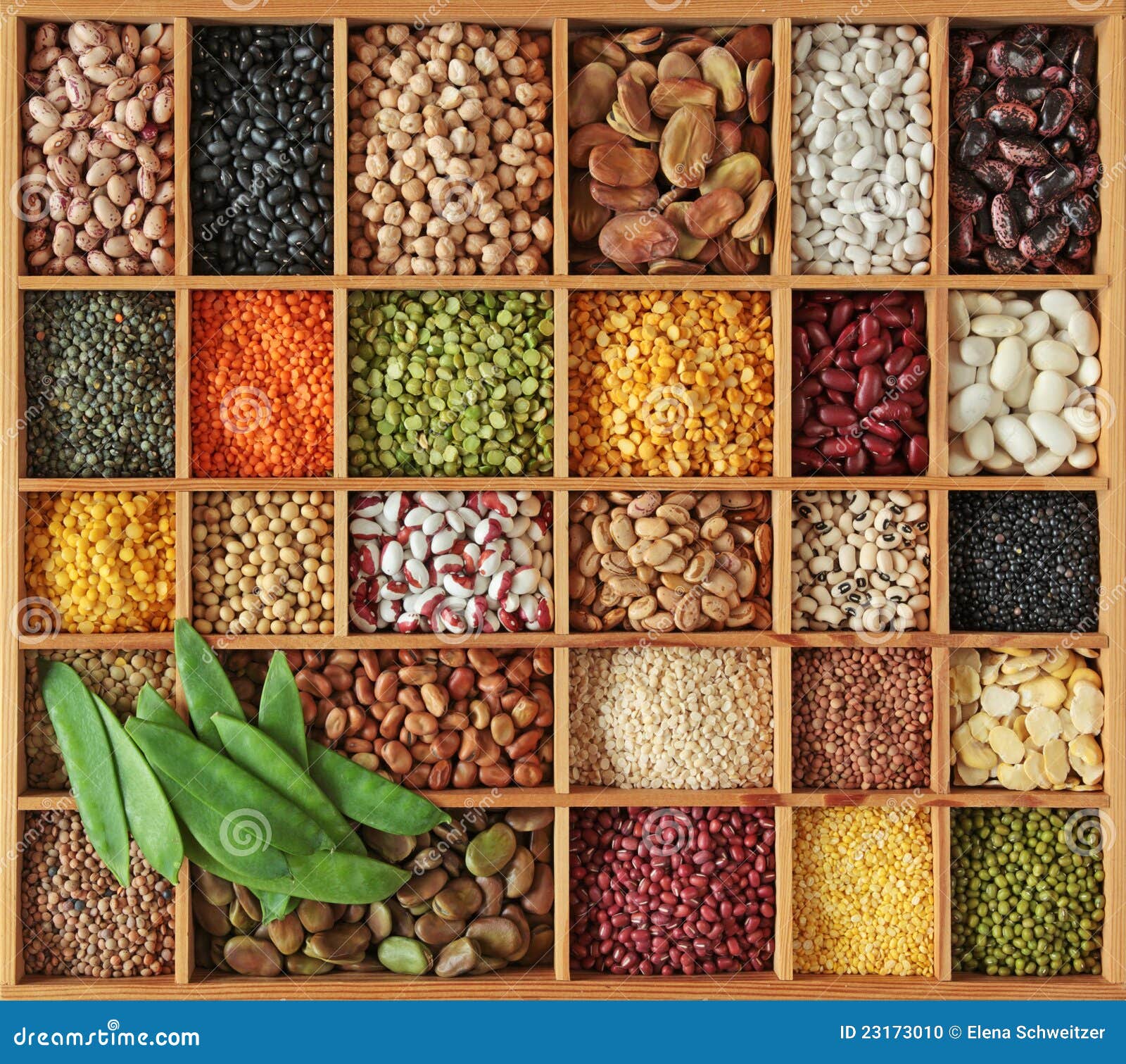 Legume stock photo. Image of uncooked, pinto, pulse, healthy - 23173010