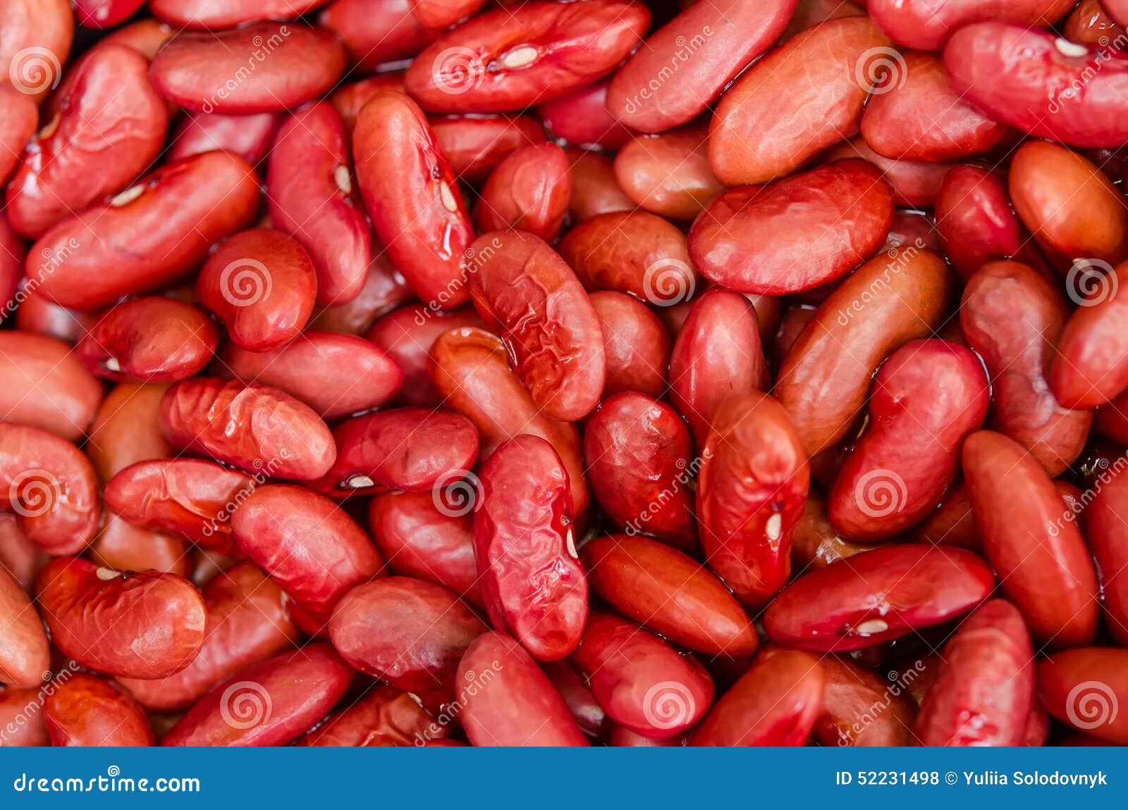 Legume stock photo. Image of dietary, corn, prepared - 52231498