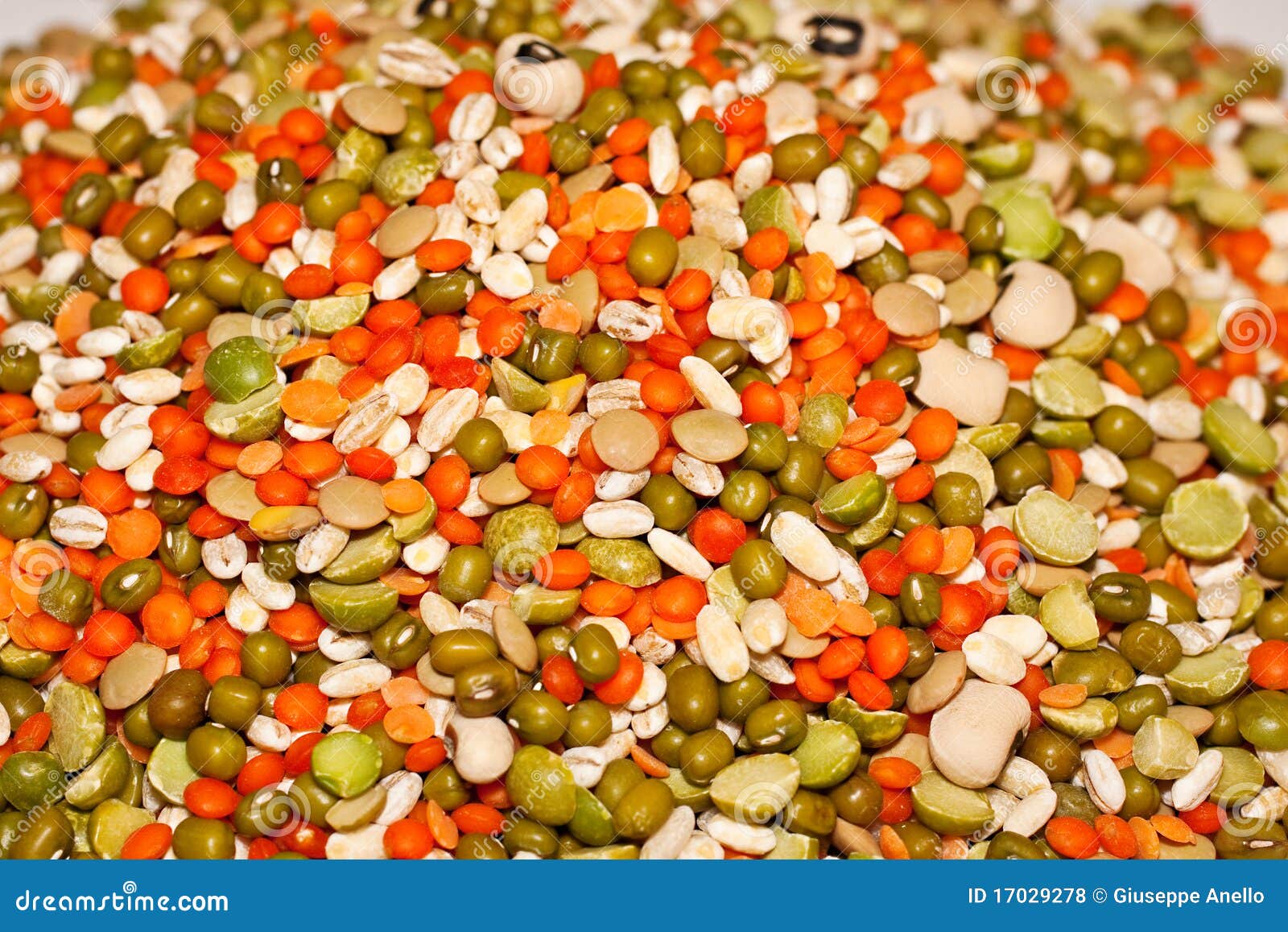 Legumes stock photo. Image of legumes, lentils, food - 17029278