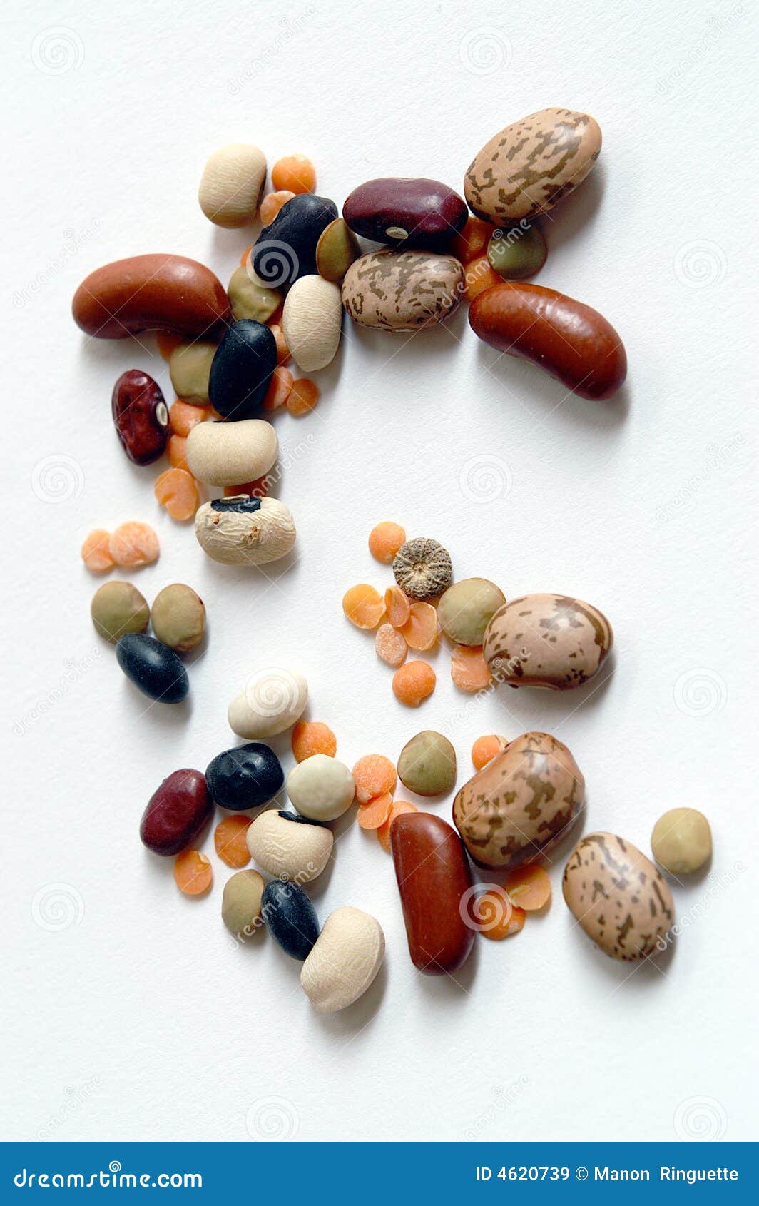 Legumes stock image. Image of storage, food, beans, nutritious - 4620739