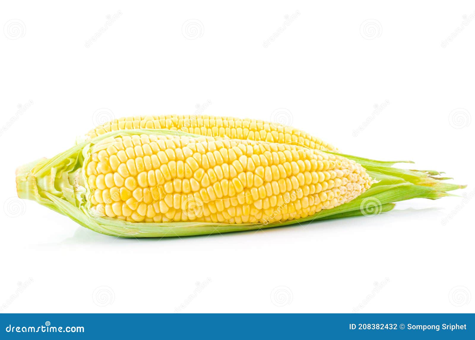 Legumes De Milho Cru De Fundo Branco Foto de Stock - Imagem de branco ...