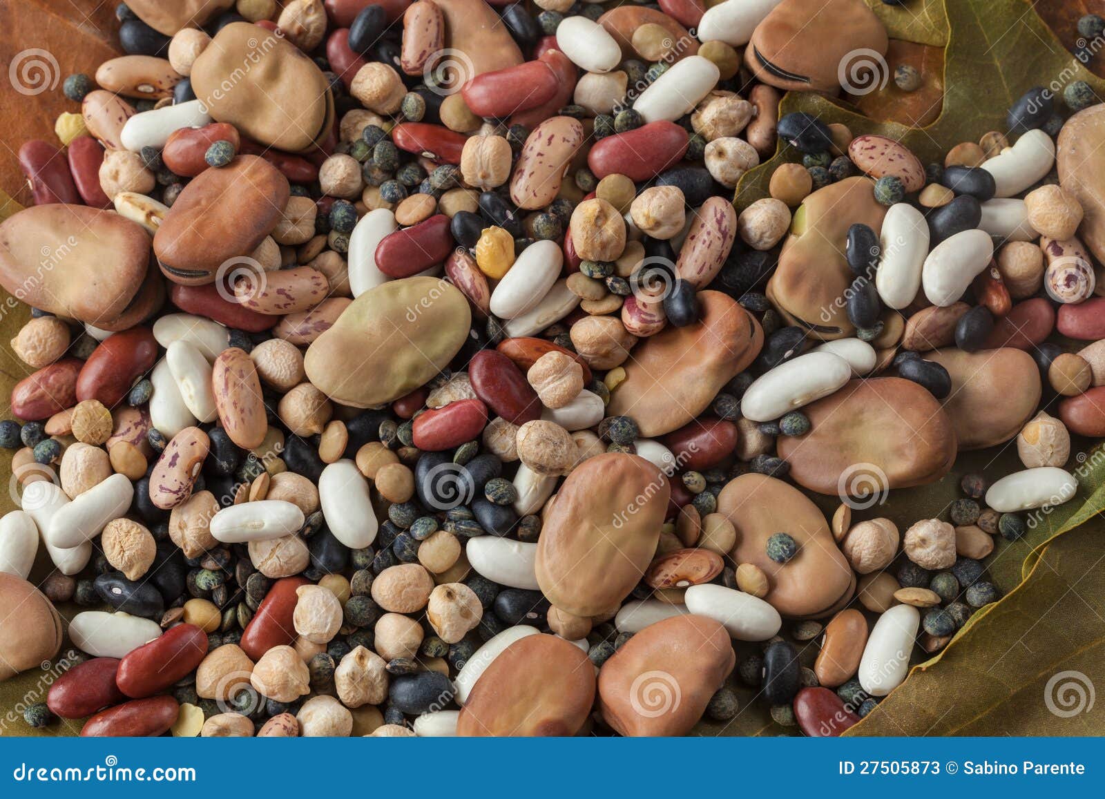 Legumes on leaves stock image. Image of natural, foliage - 27505873