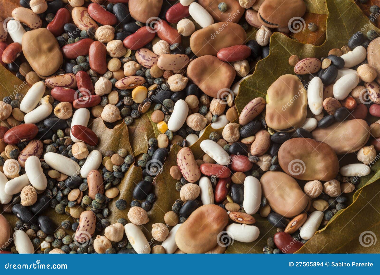 Legumes on leaves stock photo. Image of broad, nutrition - 27505894