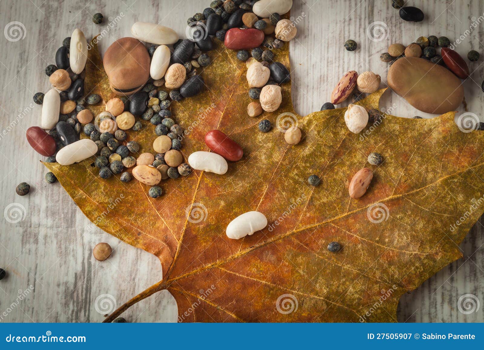 Legumes on leaves stock image. Image of environment, leaf - 27505907