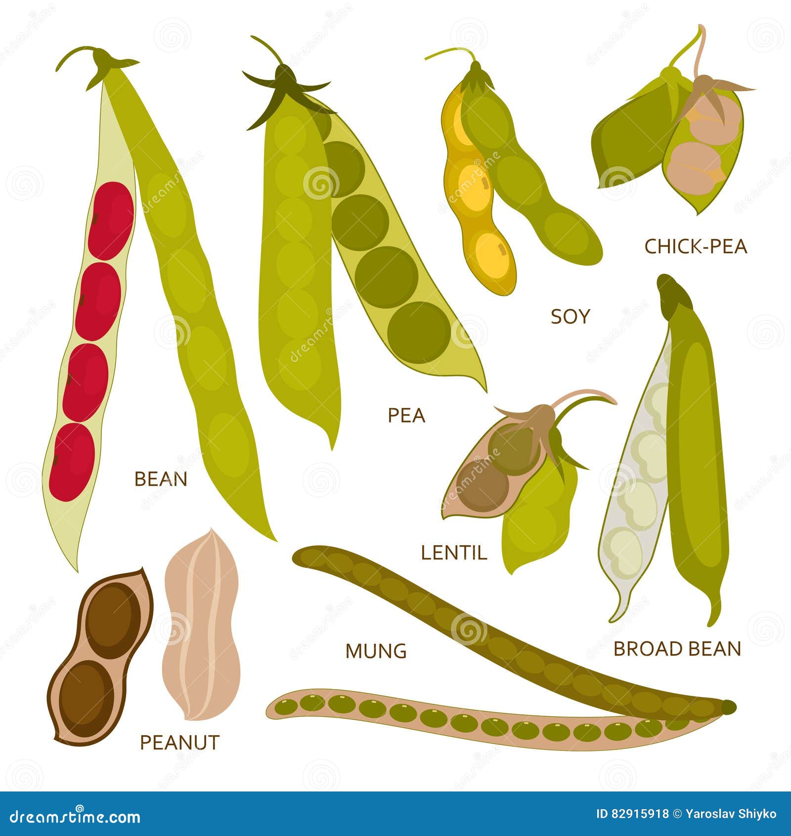 Legumes Pods Set in Flat Style. Stock Vector - Illustration of pulse ...