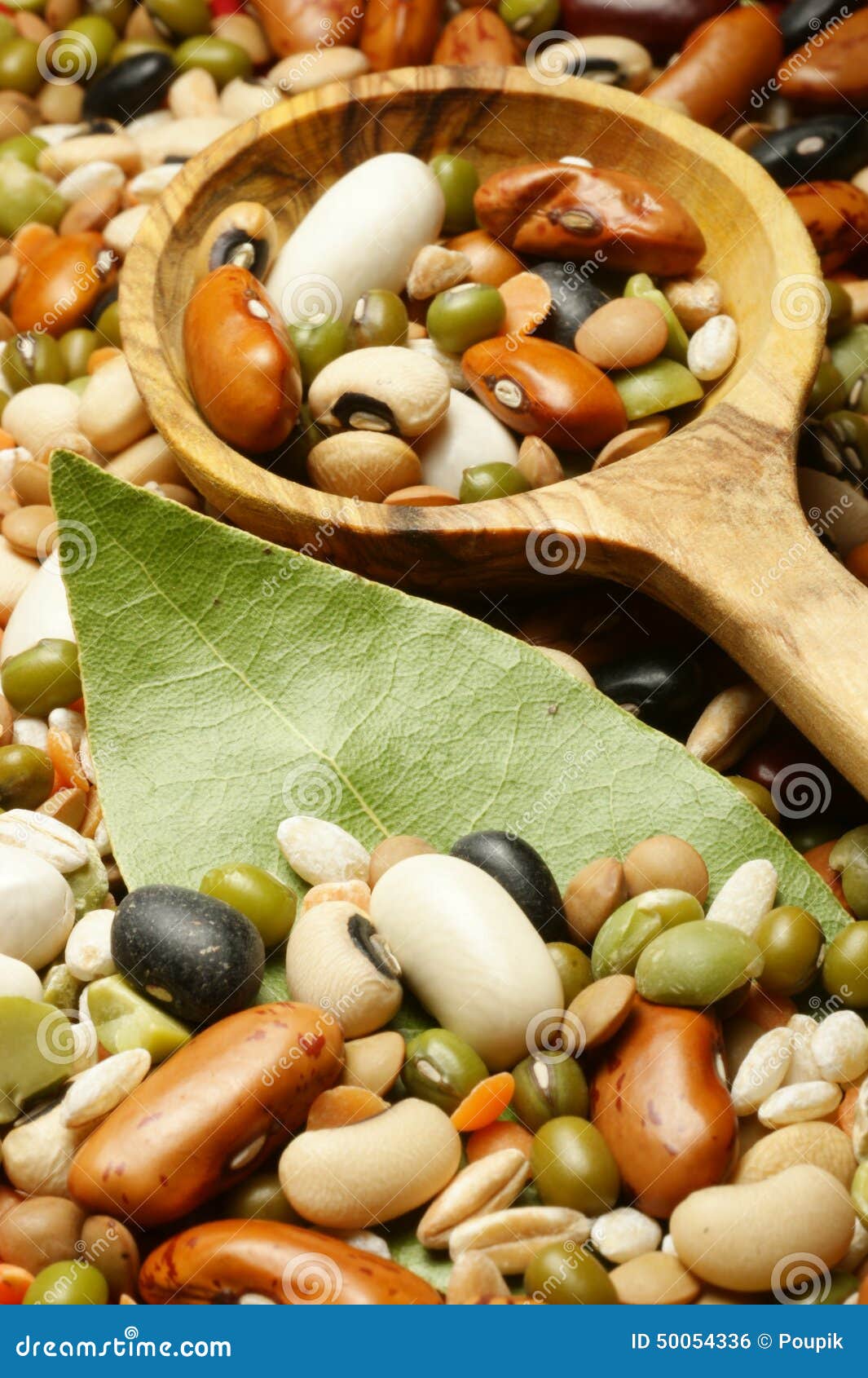 Legumes stock photo. Image of garden, diet, agriculture - 50054336