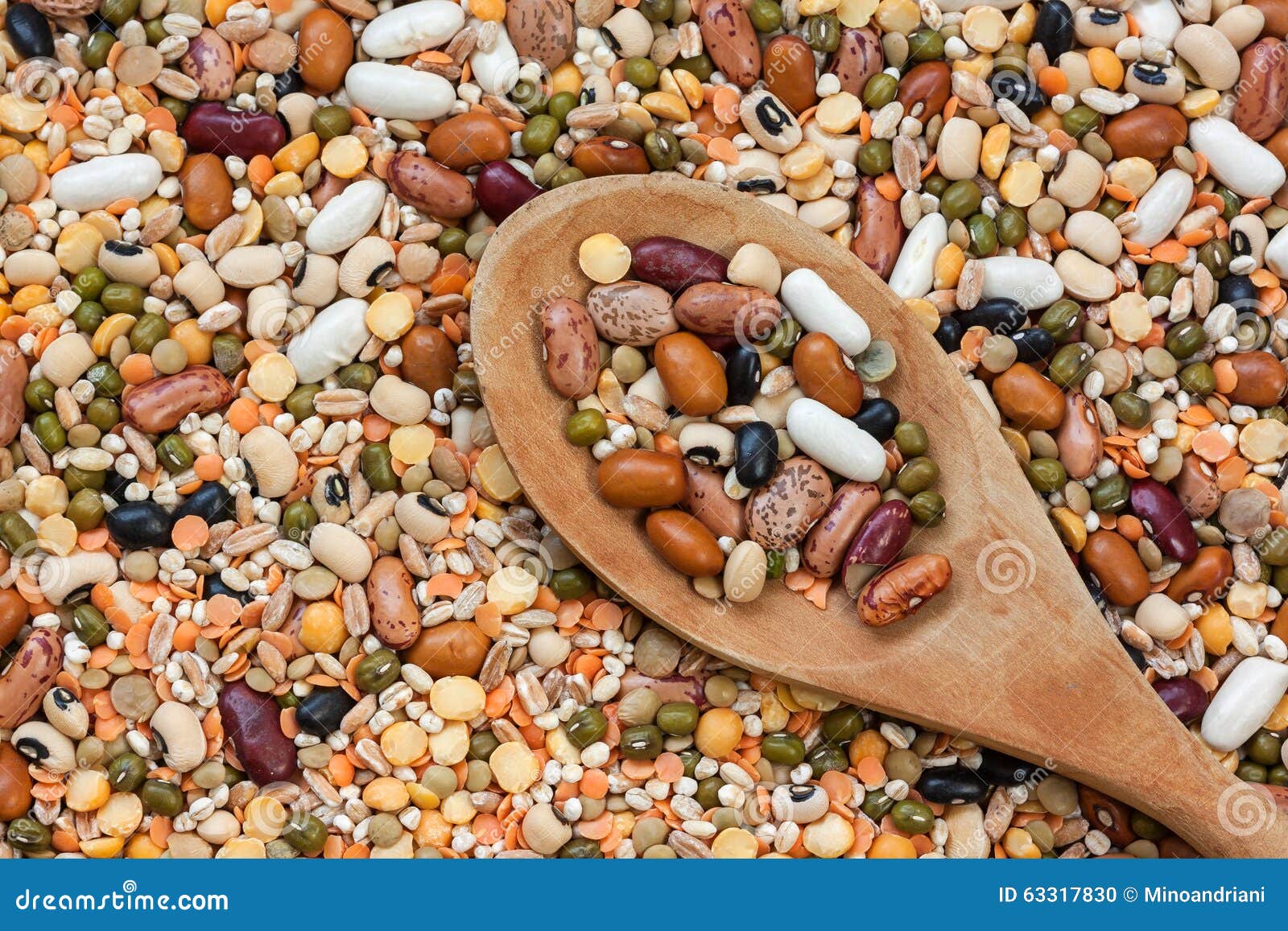 Legumes stock photo. Image of lentil, legumi, barley - 63317830