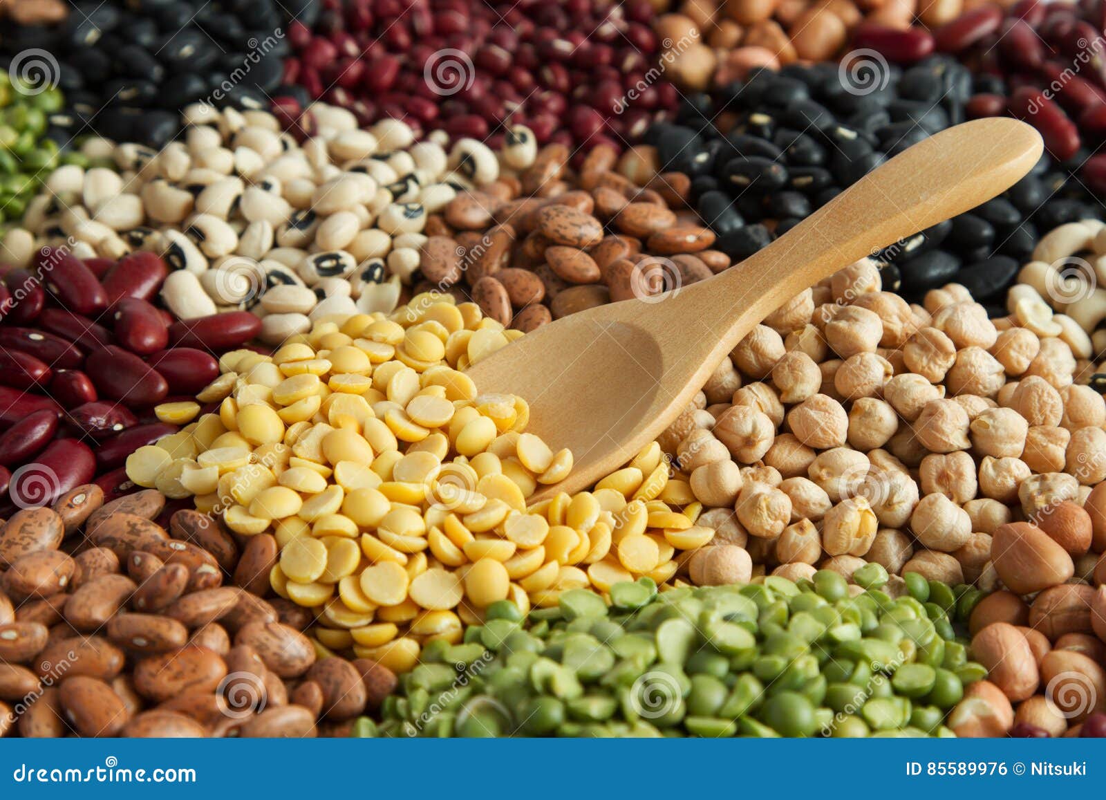 Legumi Di Grani Della Soia E Seme Matto Fotografia Stock - Immagine di ...