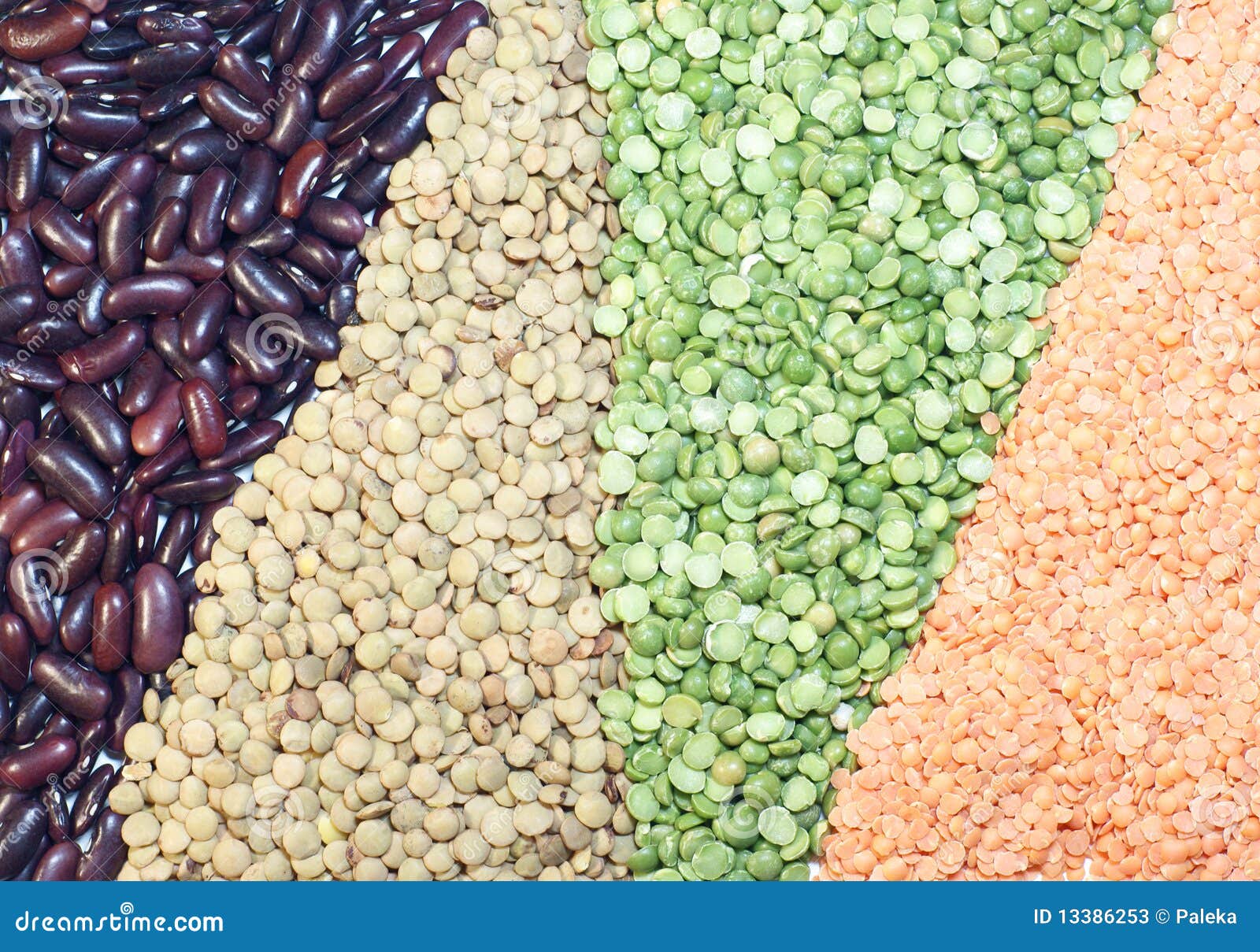 Leguminoso imagen de archivo. Imagen de planta, salud - 13386253