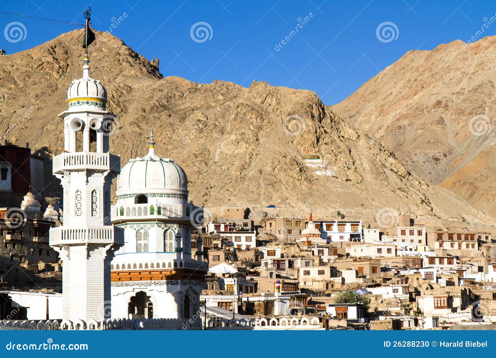 Leh, the Capital of Ladakh, India, with Mosque Stock Photo - Image of ...