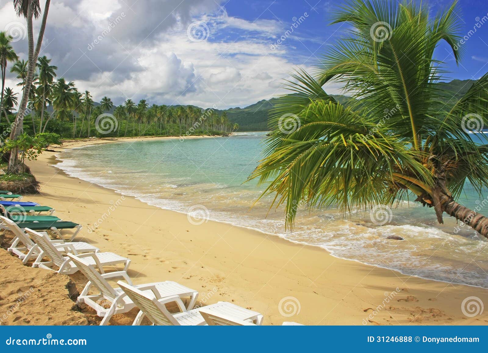 Lehnende Palme an Rincon-Strand, Samana-Halbinsel Stockfoto - Bild von ...