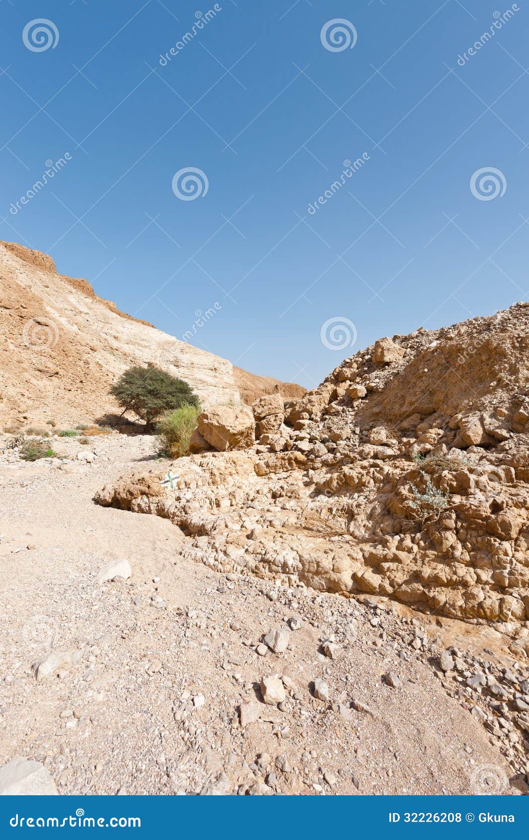 Leito fluvial foto de stock. Imagem de monte, viagem - 32226208