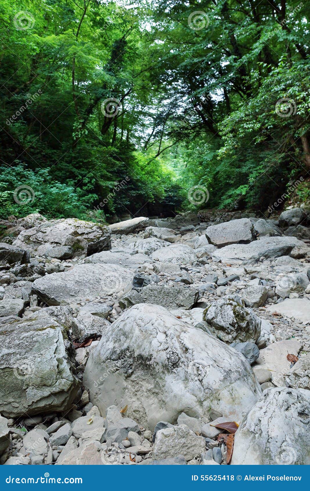 Leito Fluvial Rochoso Seco Do Rio Foto de Stock - Imagem de ...
