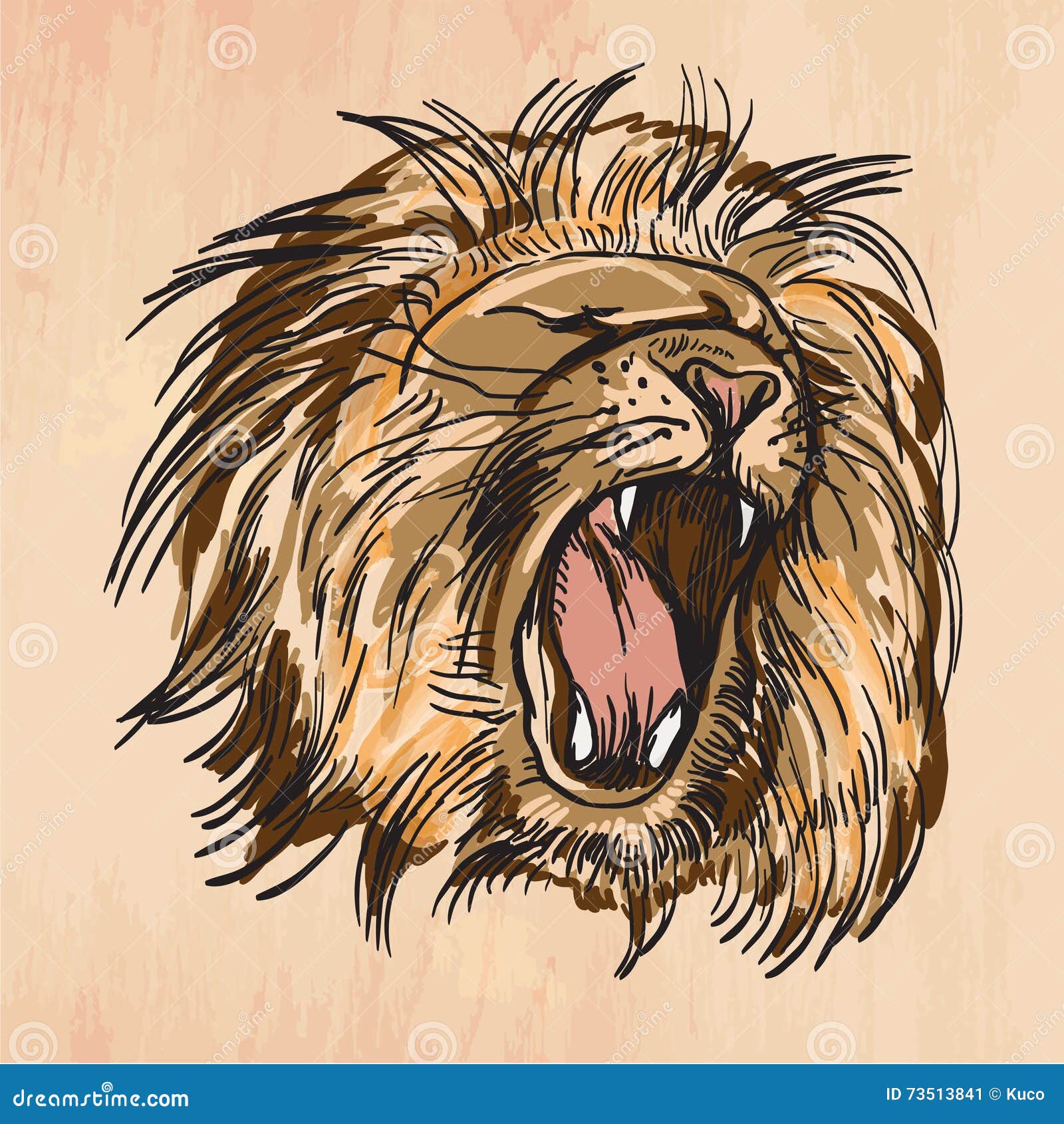 Lejon - En Hand Dragen Vektor Vektor Illustrationer - Illustration av ...