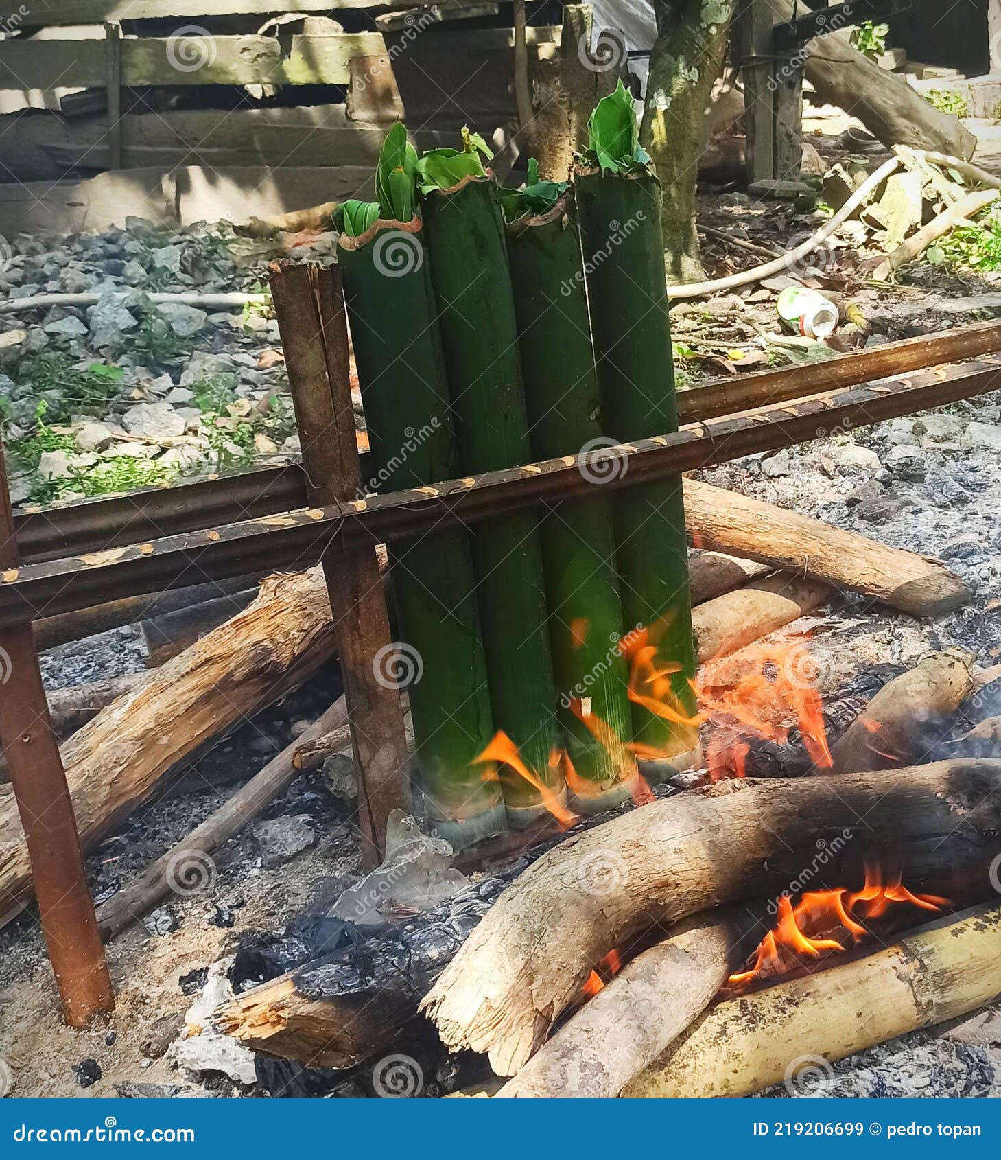 Food in bambo stock image. Image of bambu, bambo, food - 219206699