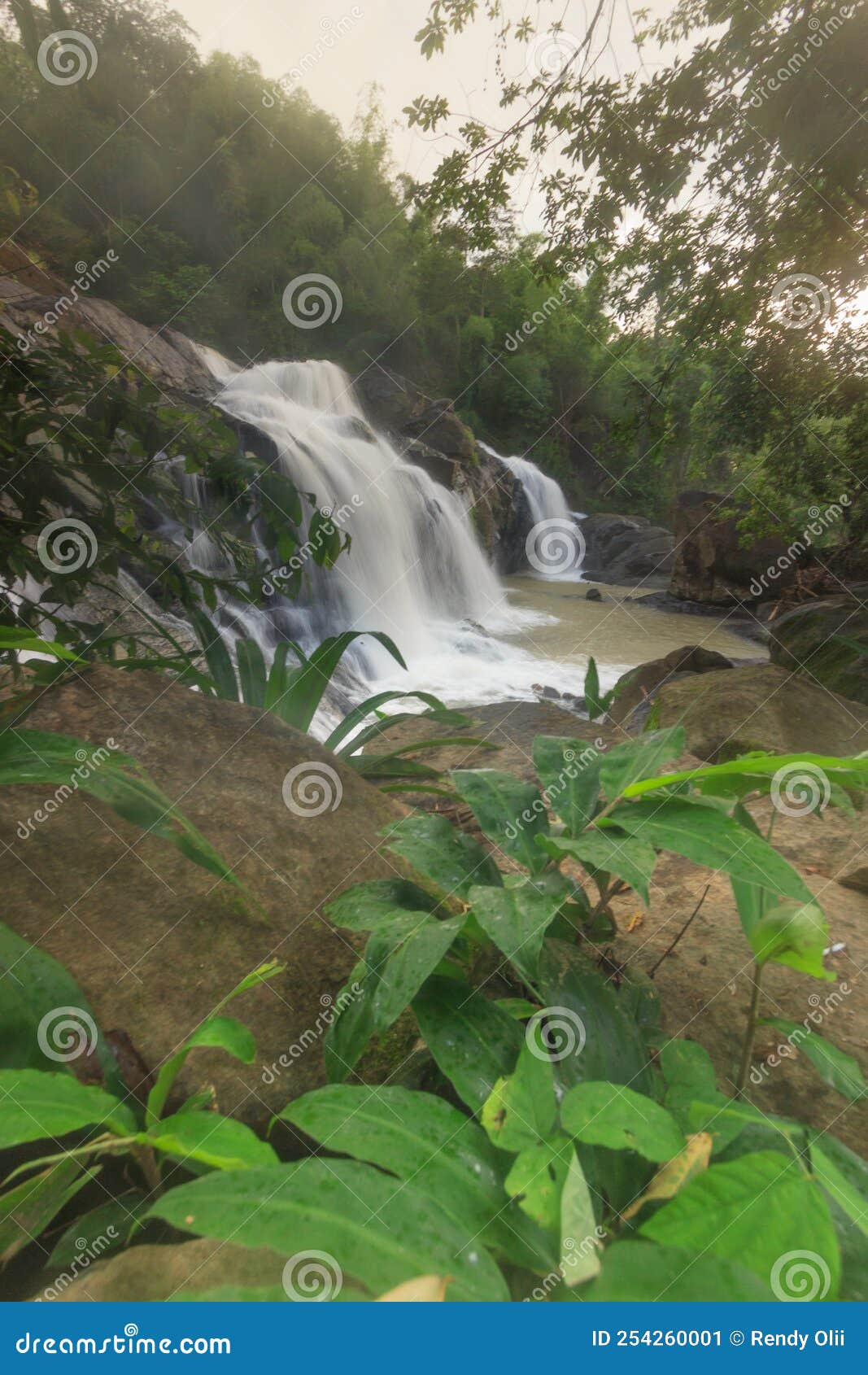 Lembah Karaeng Gowa stock image. Image of tree, nature - 254260001