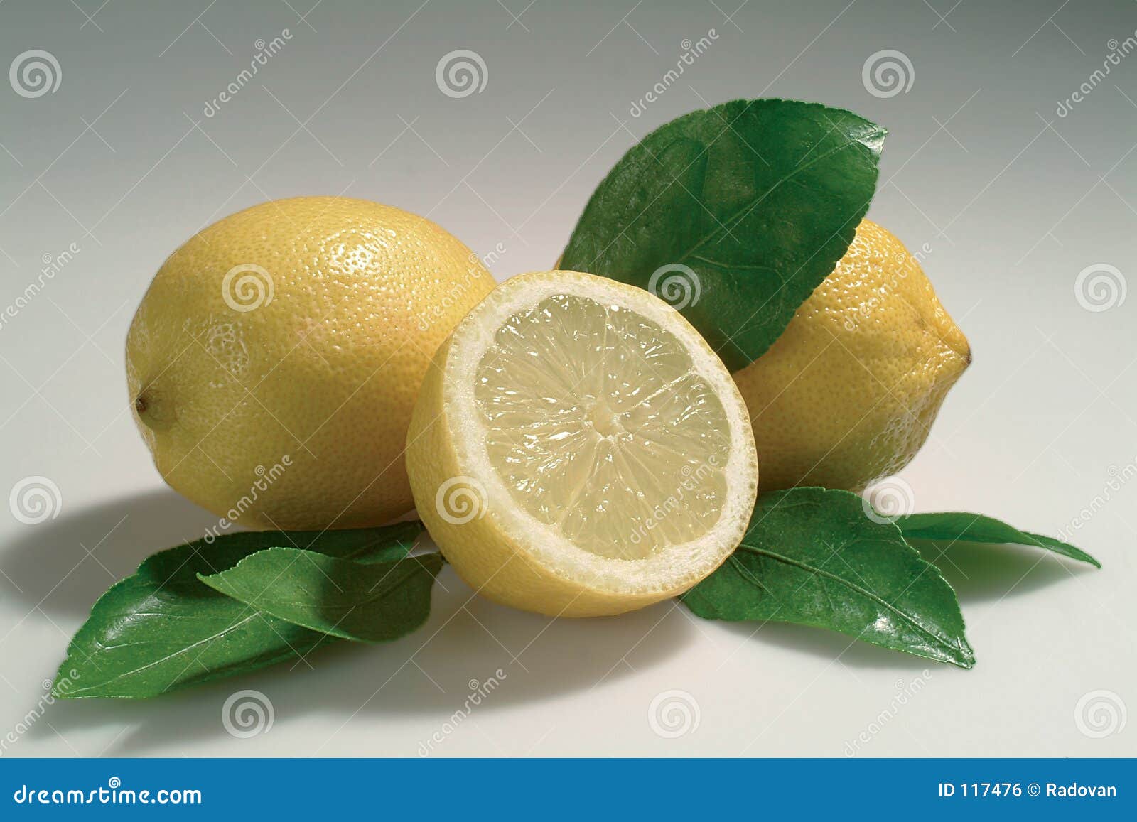Lemon stock photo. Image of citron, citrus, leaf, food - 117476