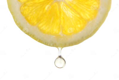 Lemon stock image. Image of isolated, horizontal, eating - 12122941