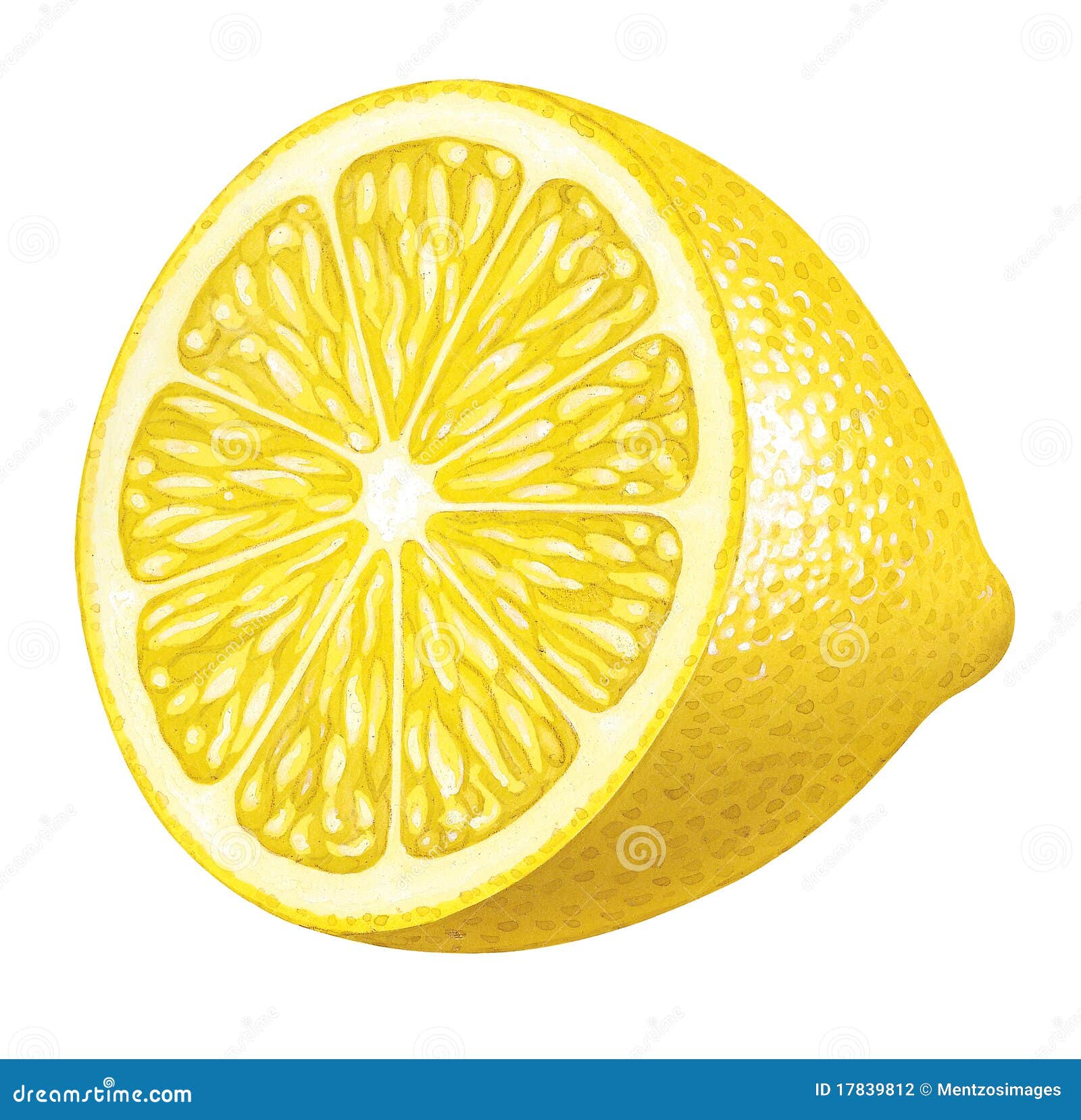 Lemon stock illustration. Illustration of beautiful, fruit - 17839812