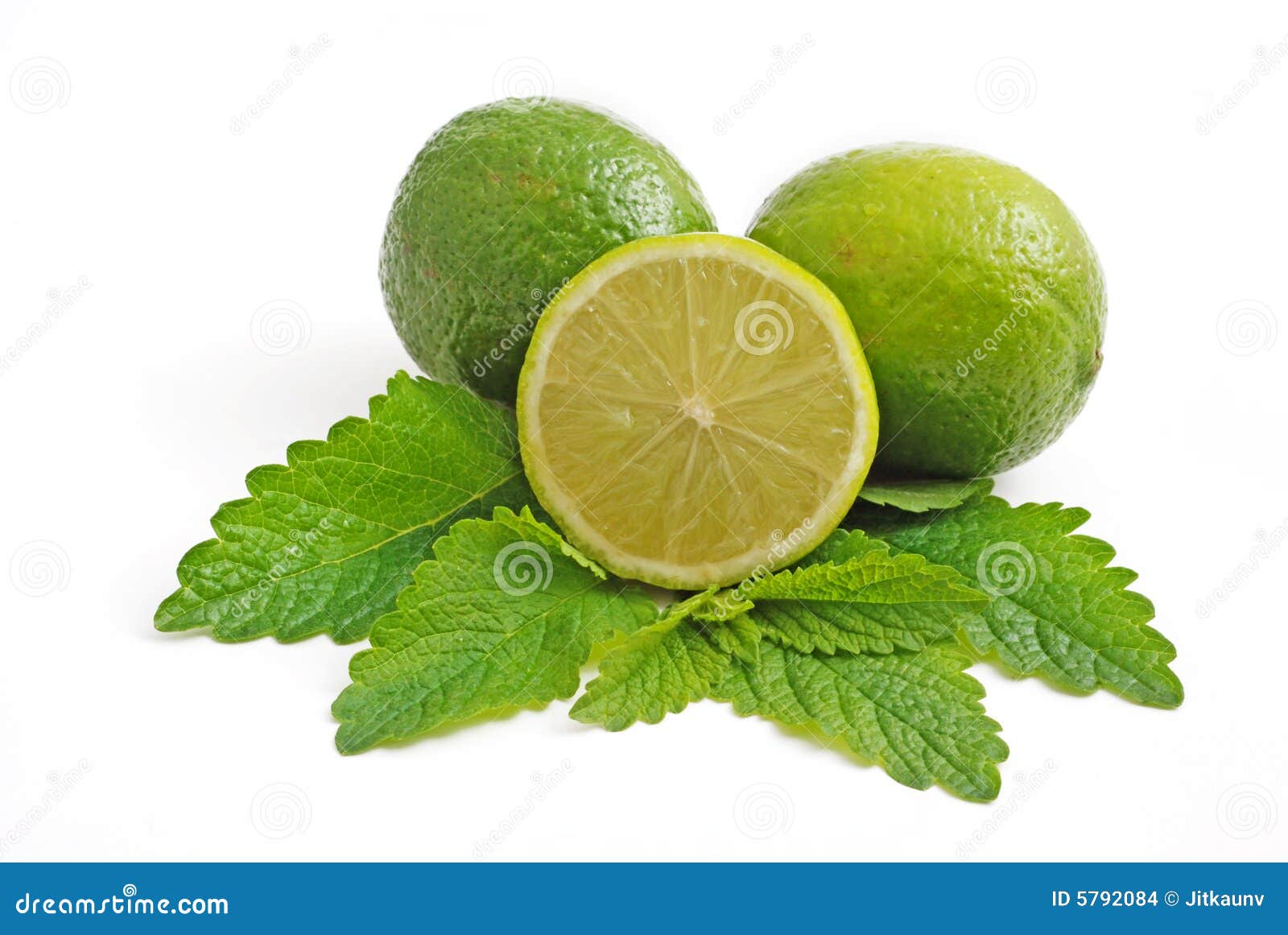 Lemon stock photo. Image of dainty, dressing, tasty, diet - 5792084
