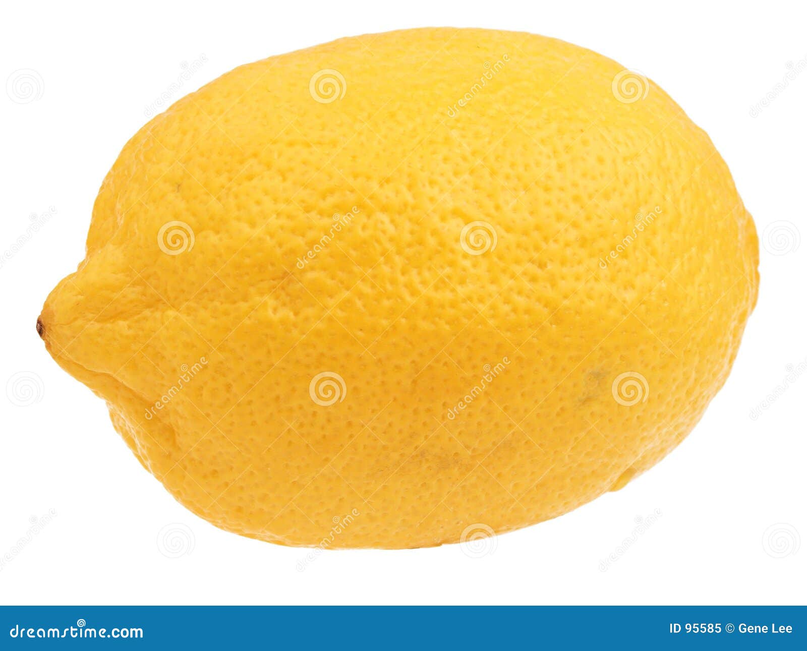 Lemon stock image. Image of citrus, foods, cutout, tasty - 95585