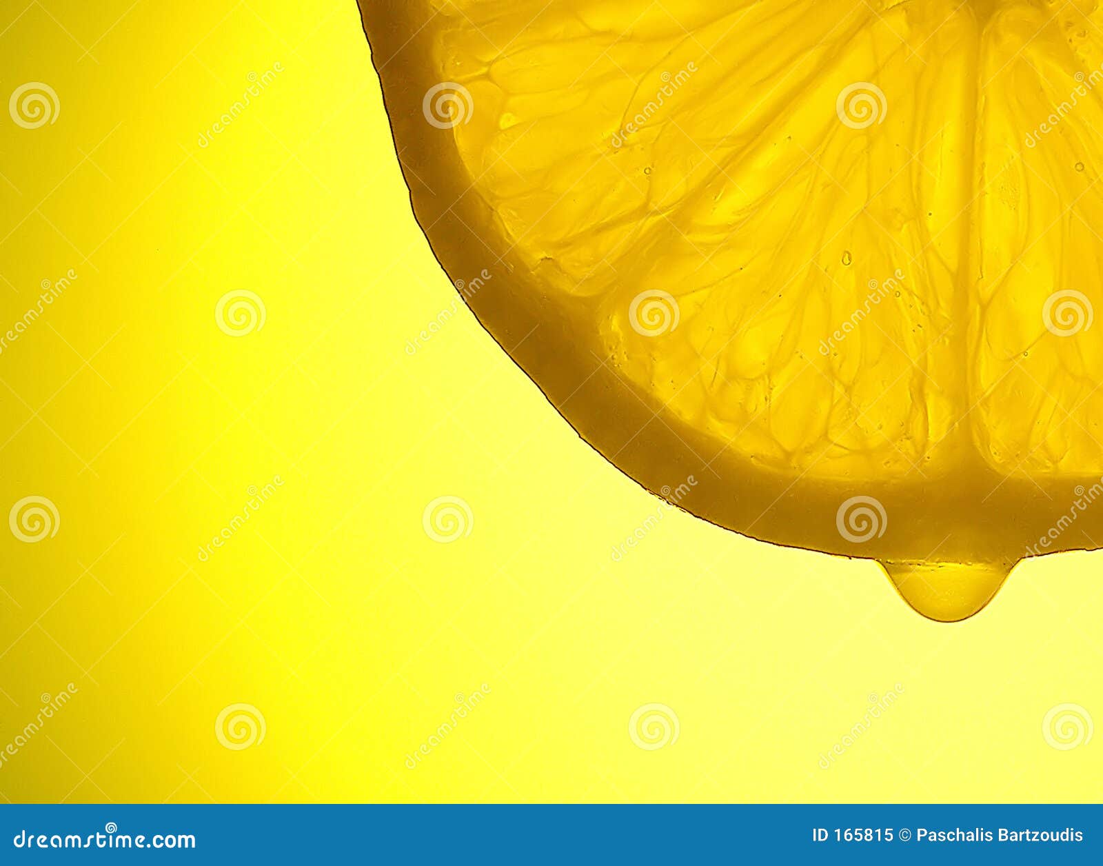 Lemon anatomy stock image. Image of citron, juice, anatomy - 165815