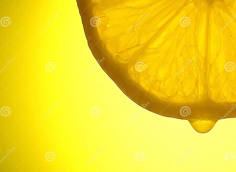 Lemon anatomy stock image. Image of citron, juice, anatomy - 165815