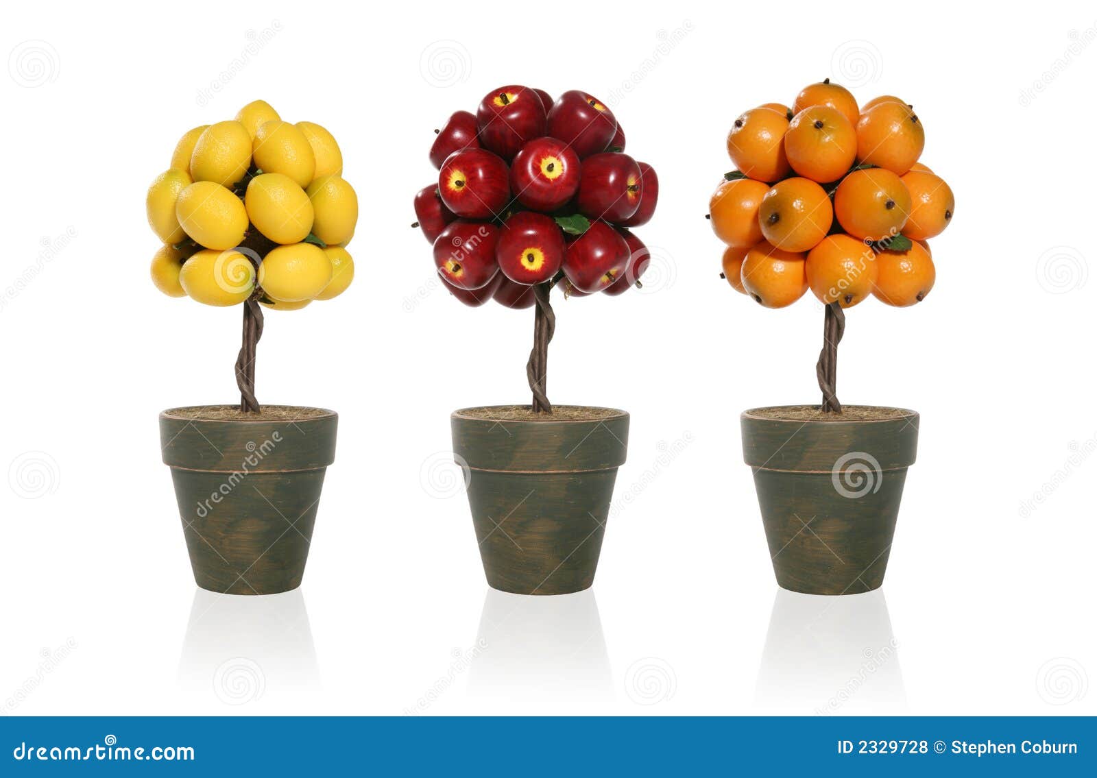 Lemon, Apple, Orange Tree stock photo. Image of leaf, colourful - 2329728