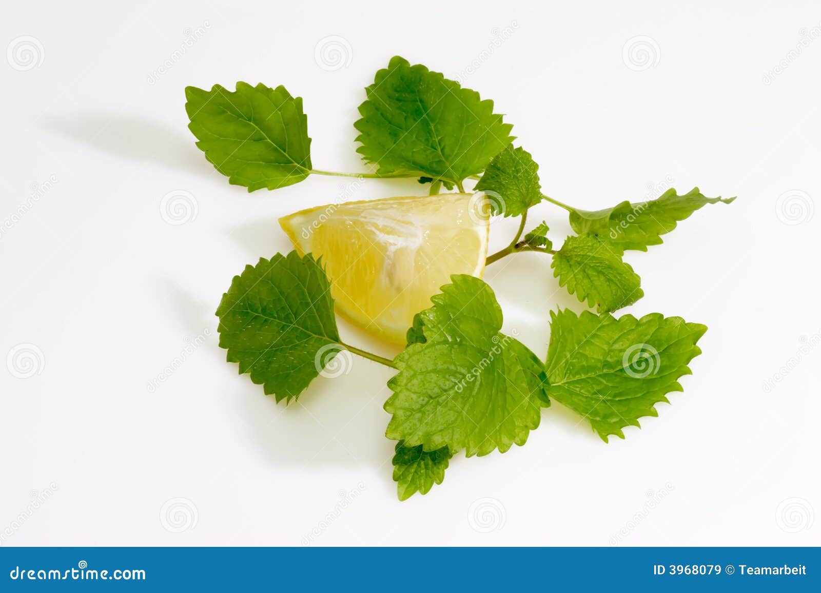 Lemon Balm Leaves with Lemon Stock Image - Image of nutrition, leaf ...