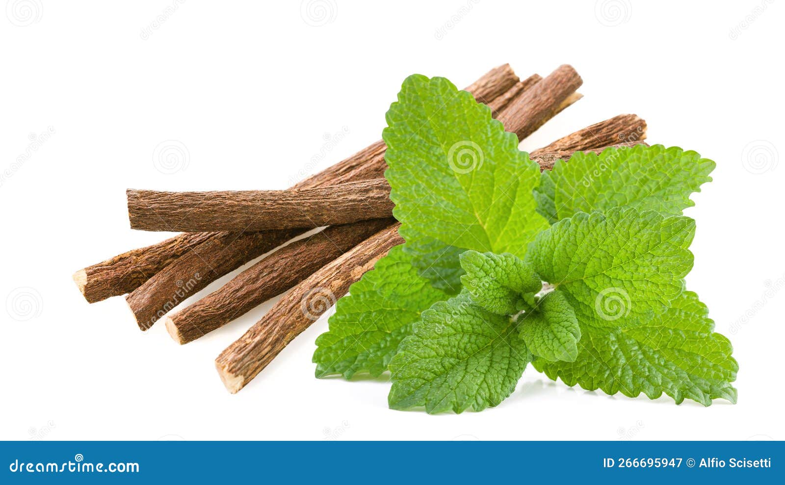 Lemon Balm and Licorice Roots Stock Image - Image of food, herb: 266695947
