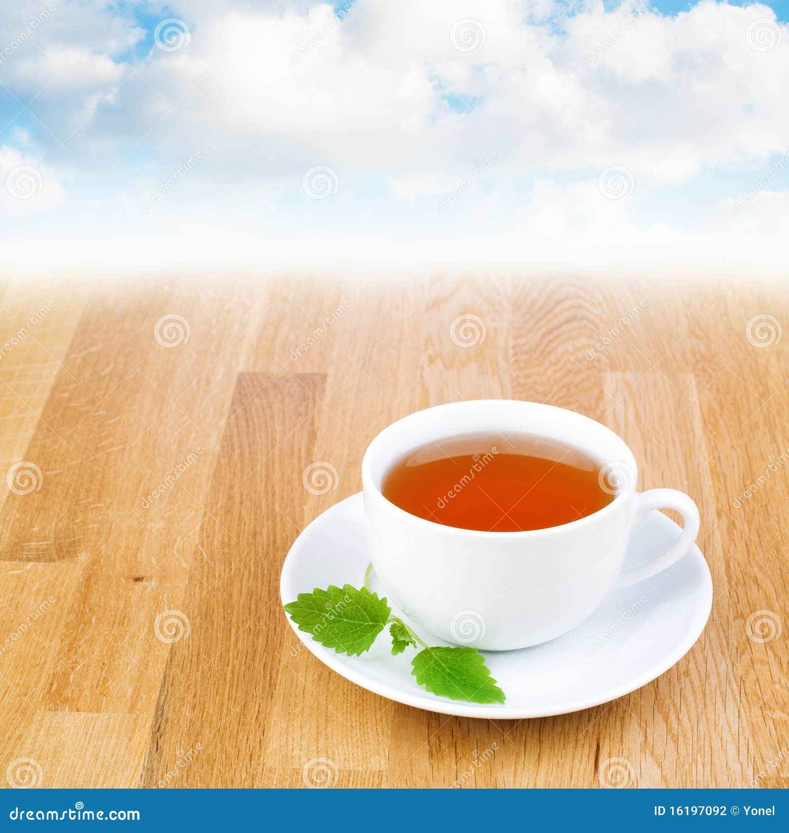 Lemon balm (melissa) tea. stock photo. Image of freshness - 16197092