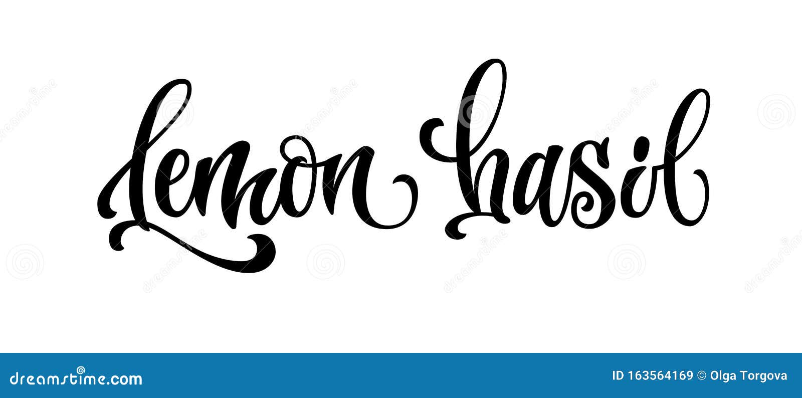 Lemon Basil - Vector Hand Drawn Calligraphy Style Lettering Word. Stock ...