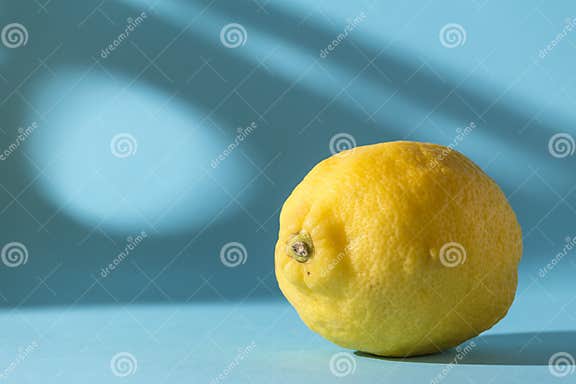 Lemon on blue background stock photo. Image of vegetable - 160763792