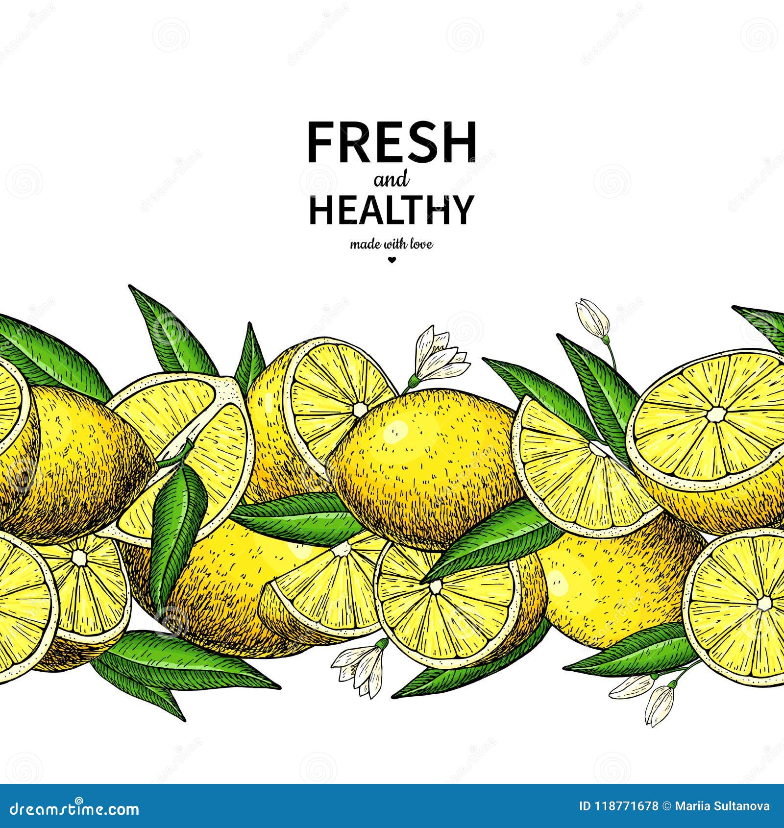 Lemon Border Vector Drawing. Citrus Fruit Frame Template ...