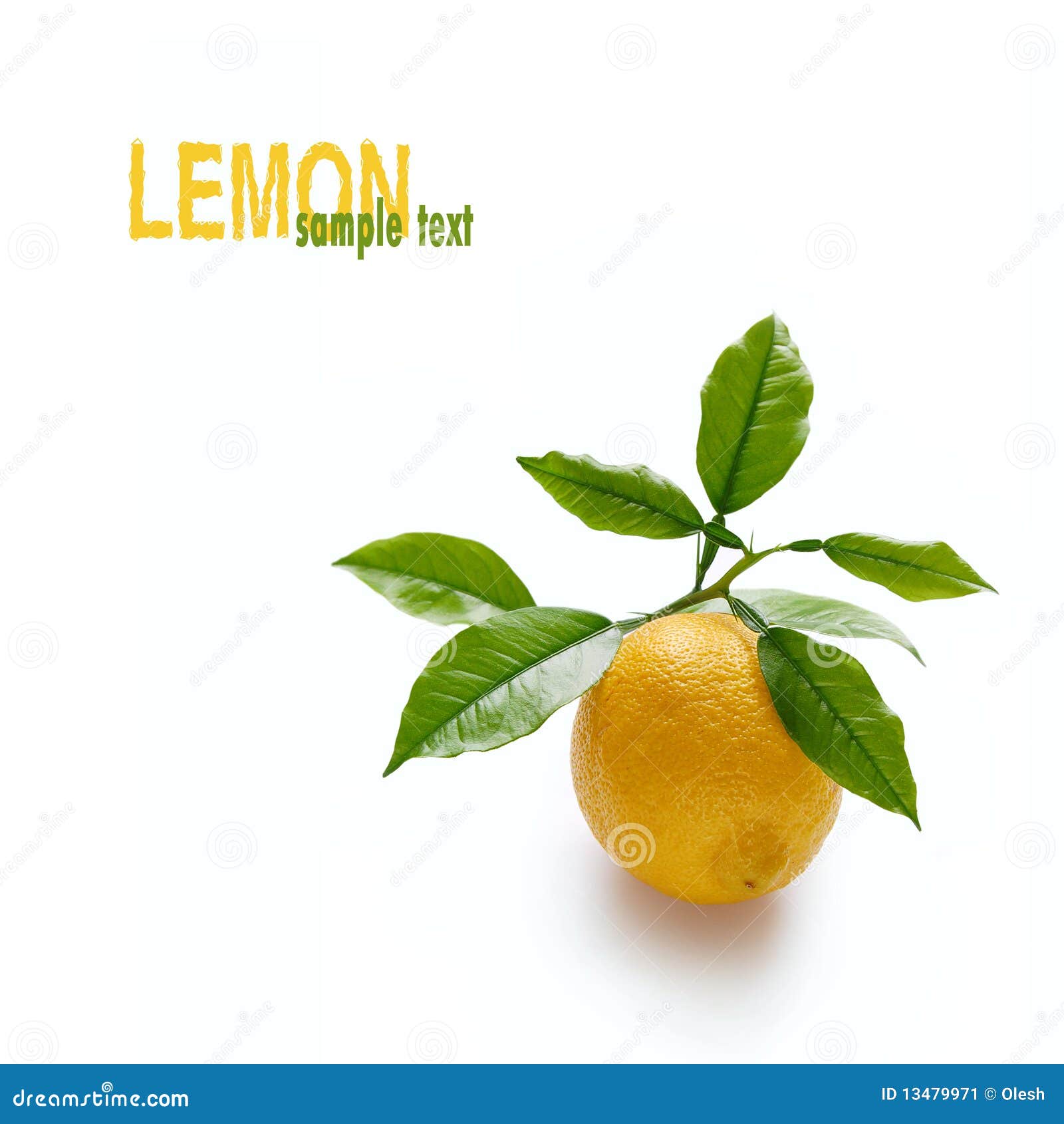 Lemon on branch stock image. Image of green, background - 13479971