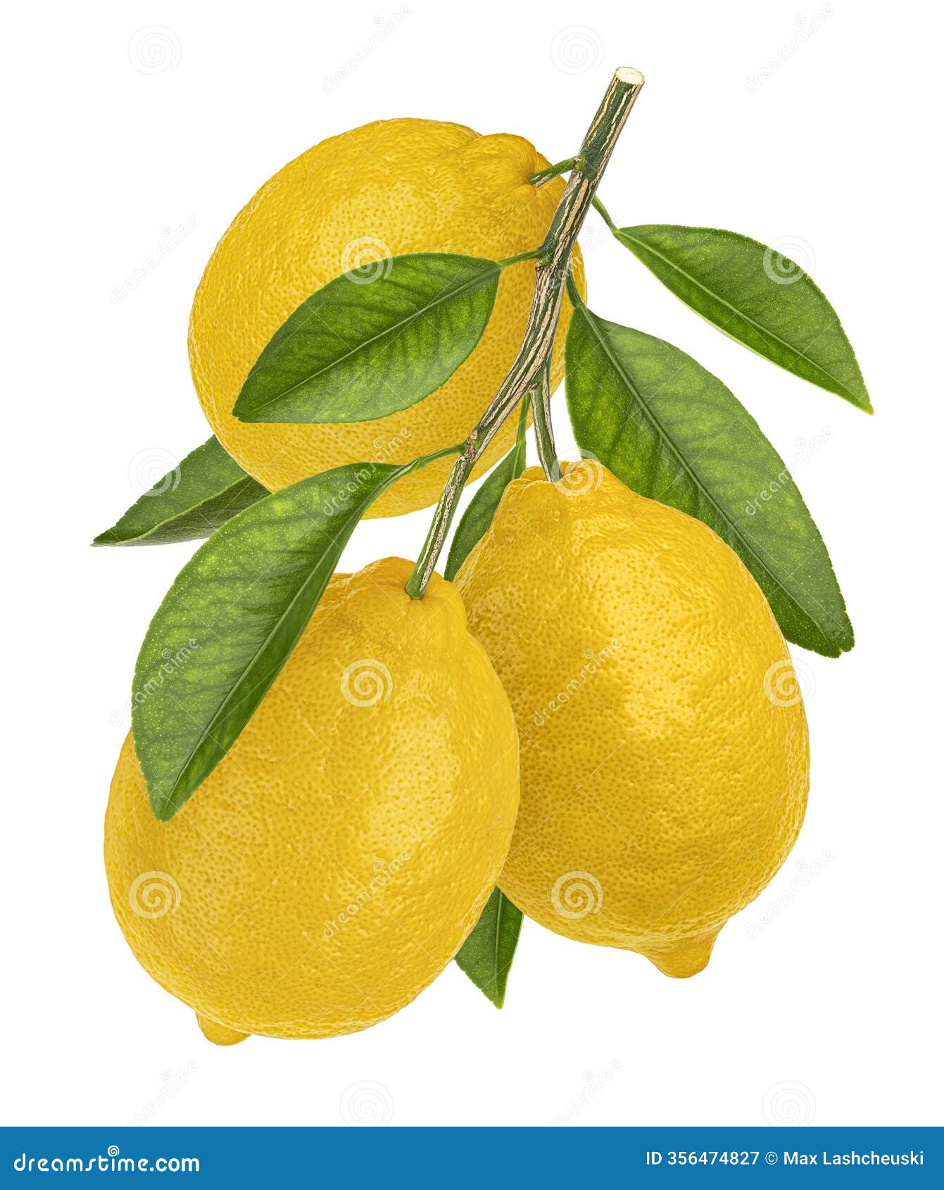 Lemon On A Branch And Limes. Chopped Grenade. On A Black Background ...