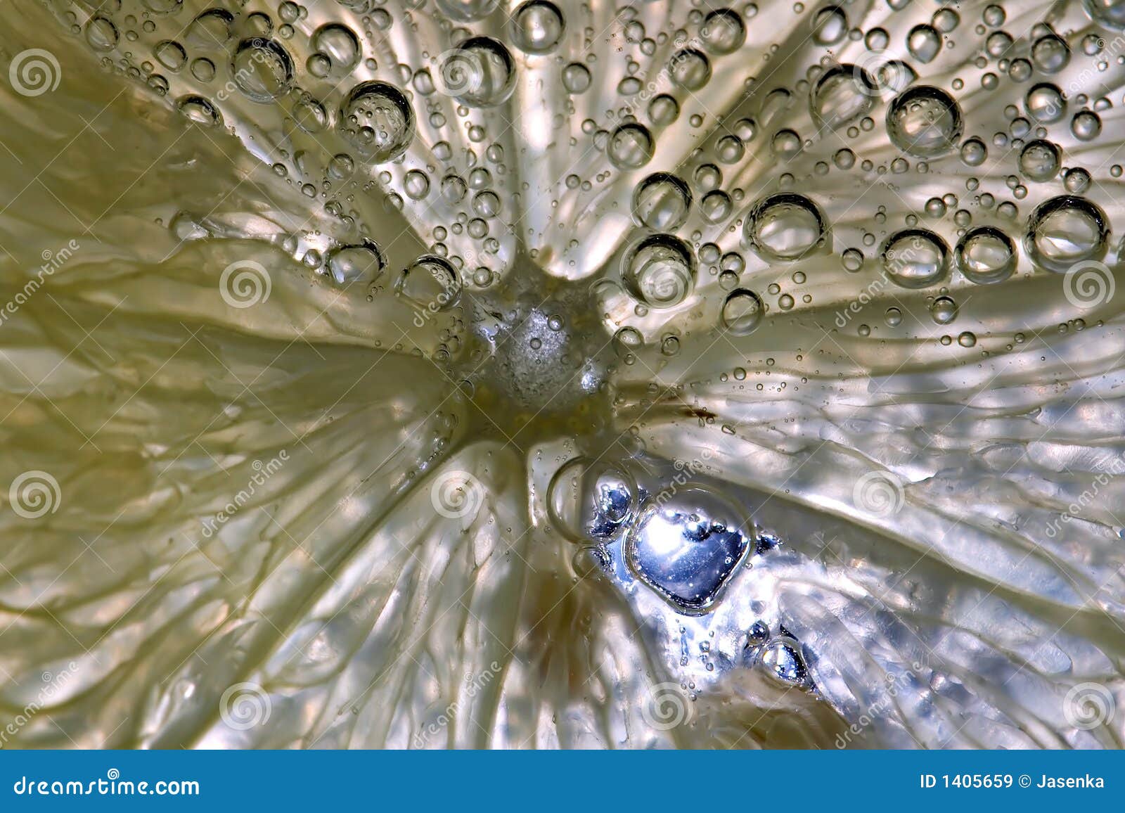 Lemon bubbles stock image. Image of life, consume, clear - 1405659