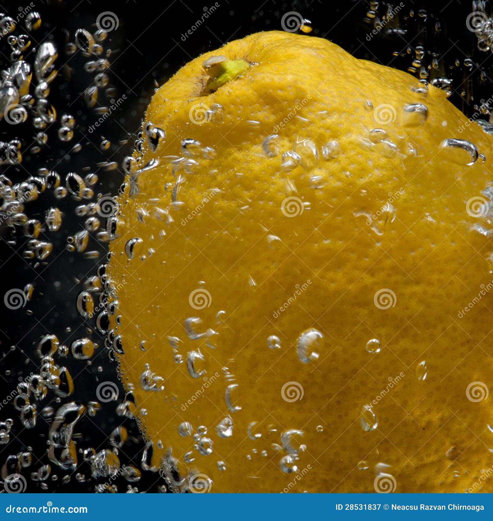 Lemon between bubbles stock image. Image of eating, bubble - 28531837