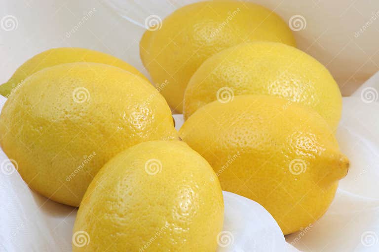 Lemon bunch stock photo. Image of color, nature, garden - 87124