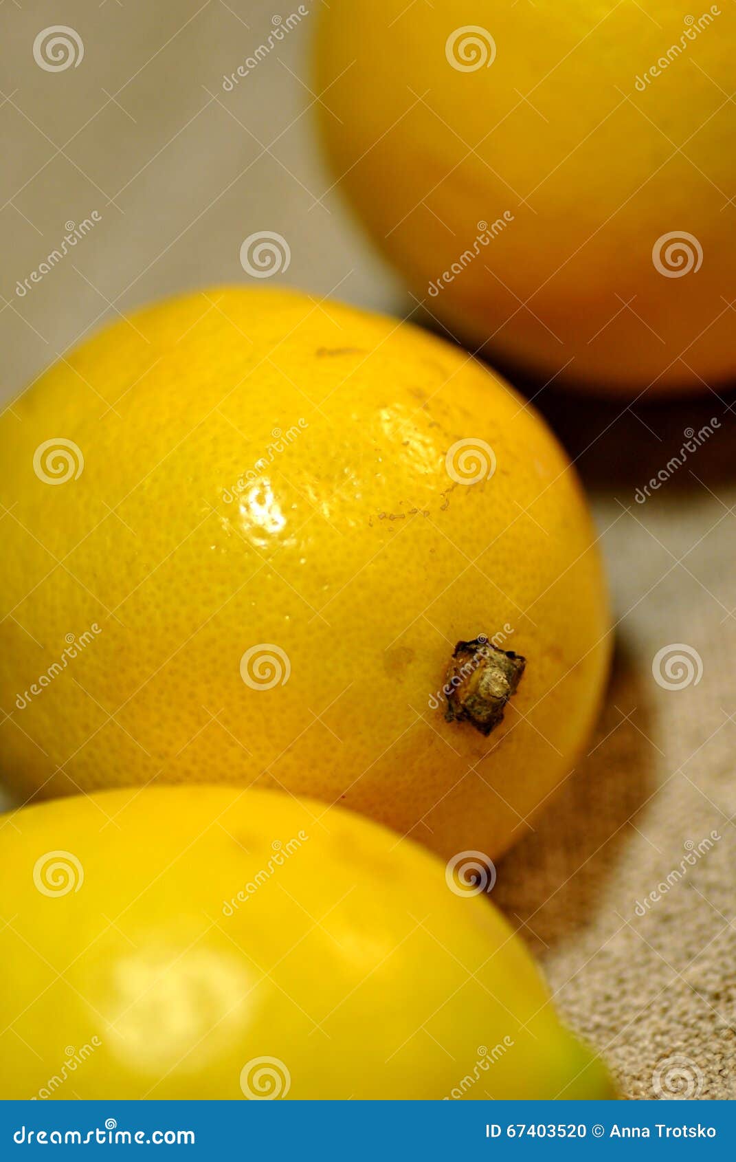 Lemon stock photo. Image of sour, bunch, tangerine, fruits - 67403520