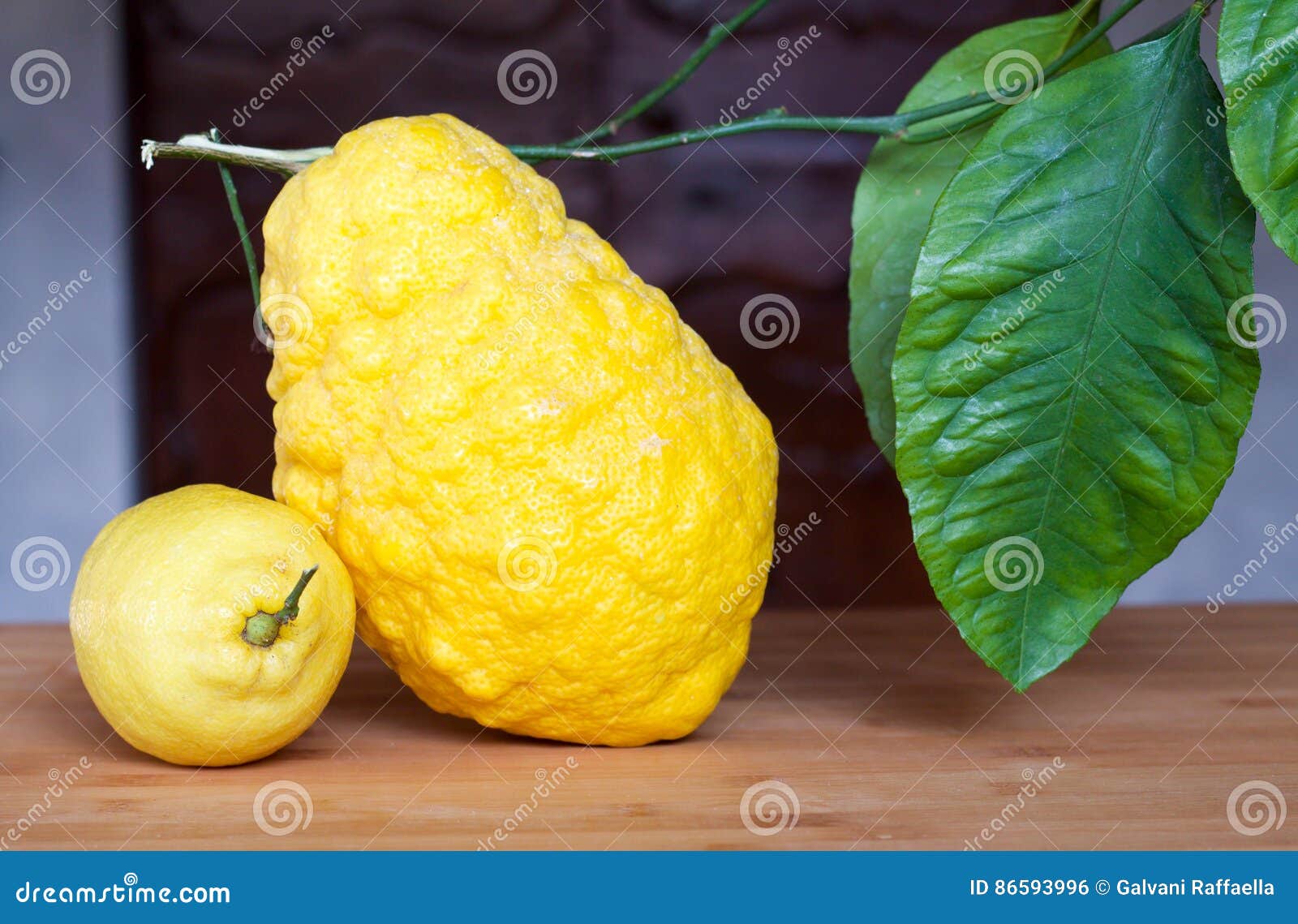 Lemon and Cedar with Green Leaves on a Table Stock Photo - Image of ...