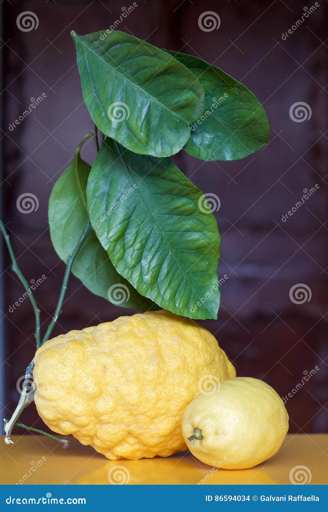 Lemon and Cedar on a Yellow Cutting Board Stock Photo - Image of amalfi ...