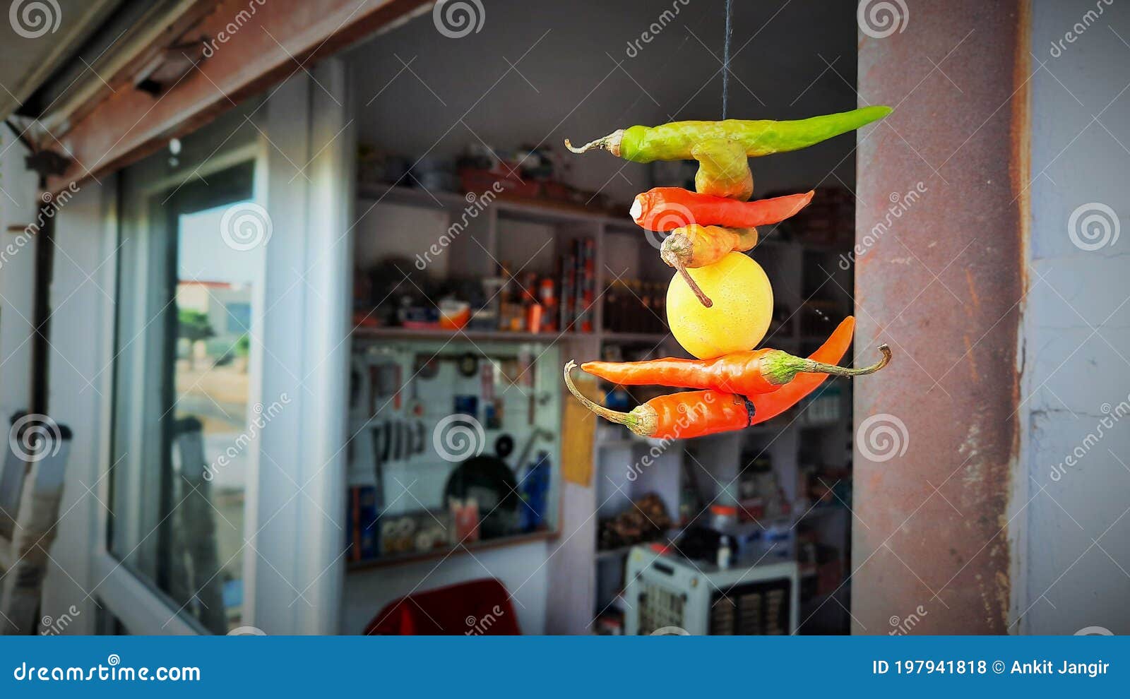 Lemon and Chilli Outside a Workshop As Superstition Stock Photo - Image ...