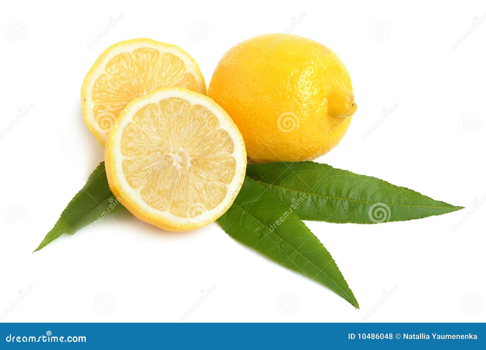 Lemon Citrus Limon L. Osbeck Is A Fruit Tree Belonging To The Rutaceae ...