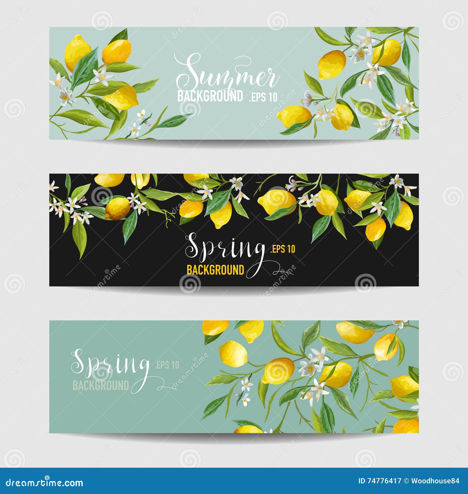 Lemon Citrus Floral Banners and Tags Set Stock Illustration ...