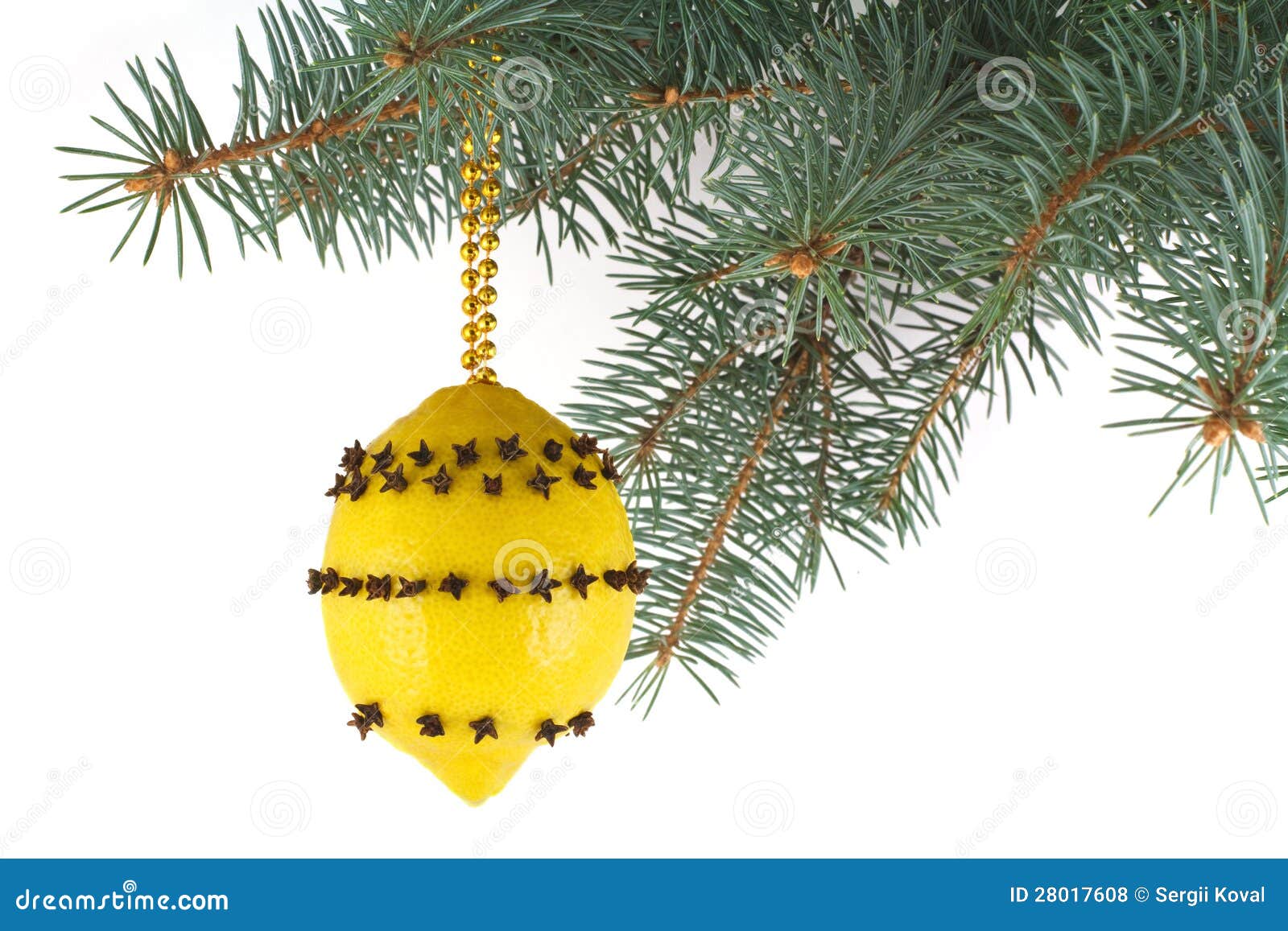 Lemon with cloves stock photo. Image of chain, fruit - 28017608